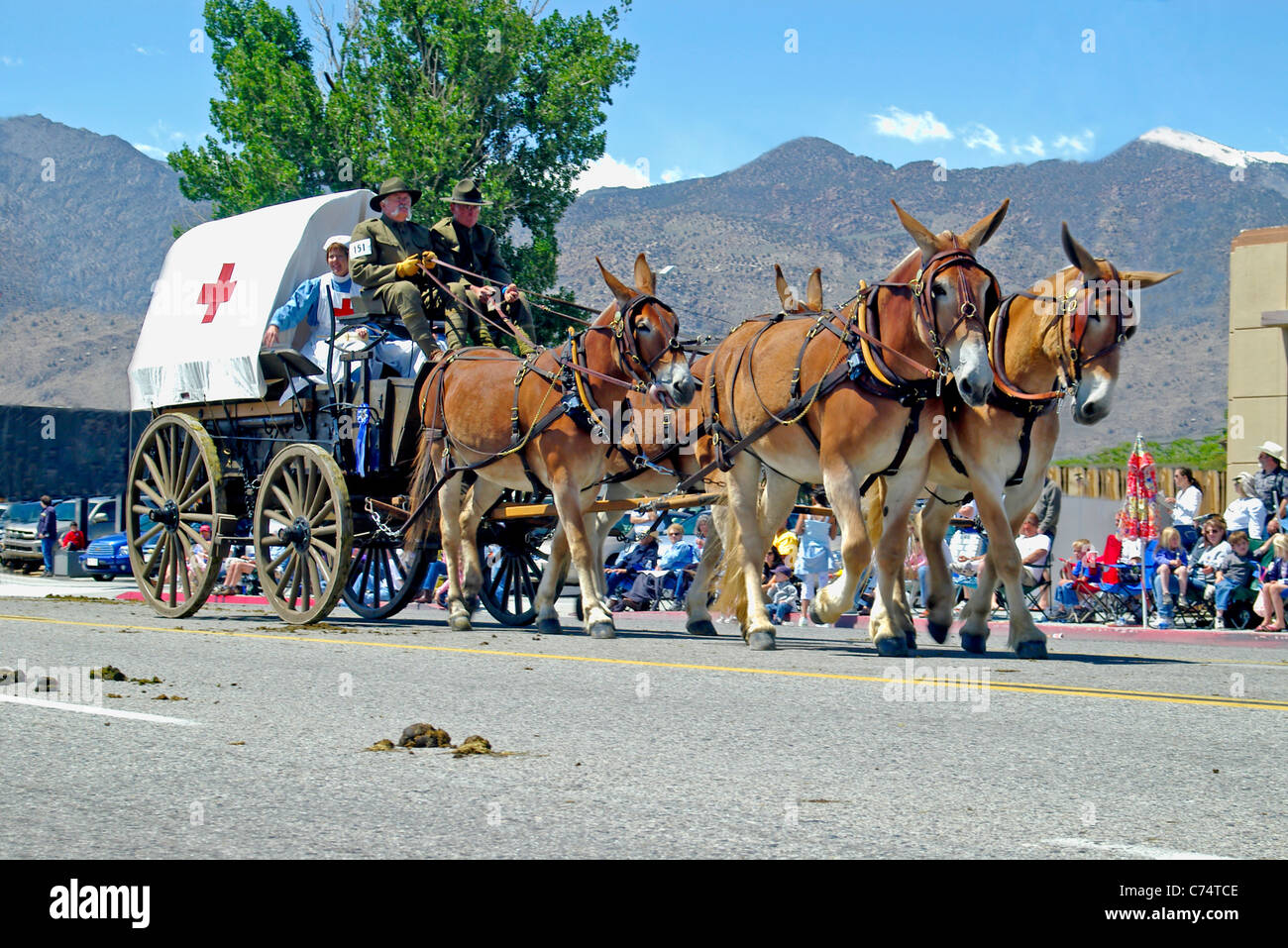 Mule drawn wagon hi-res stock photography and images - Alamy