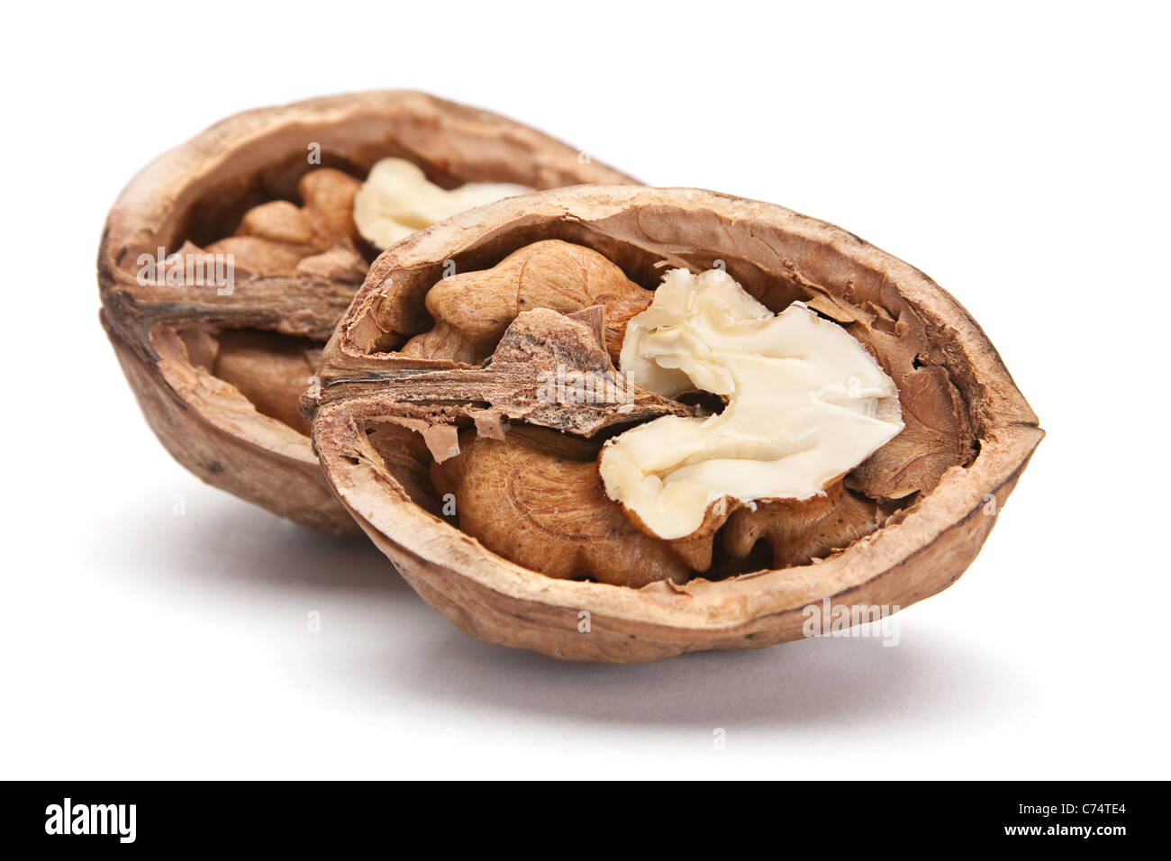 Walnut brown nut closeup on white background Stock Photo - Alamy