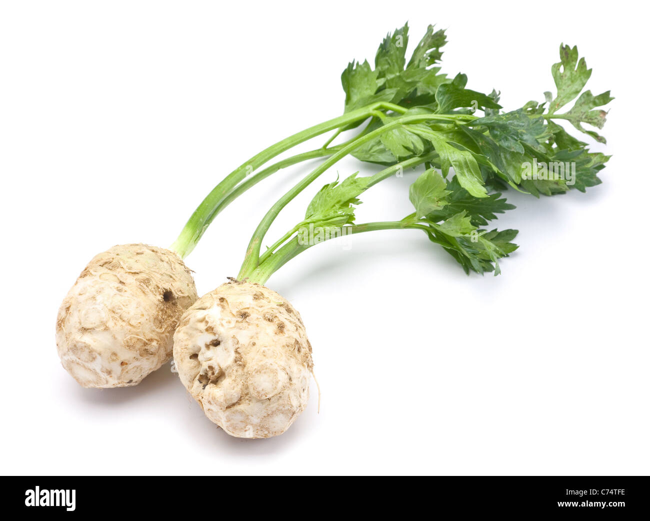 Fresh celery with root leaf on white background Stock Photo - Alamy