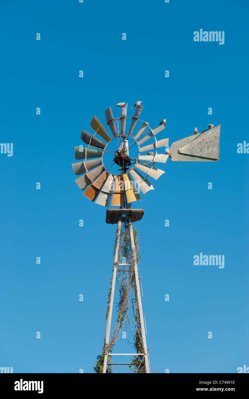 Traditional windmill pump extracting water from a well Stock Photo - Alamy
