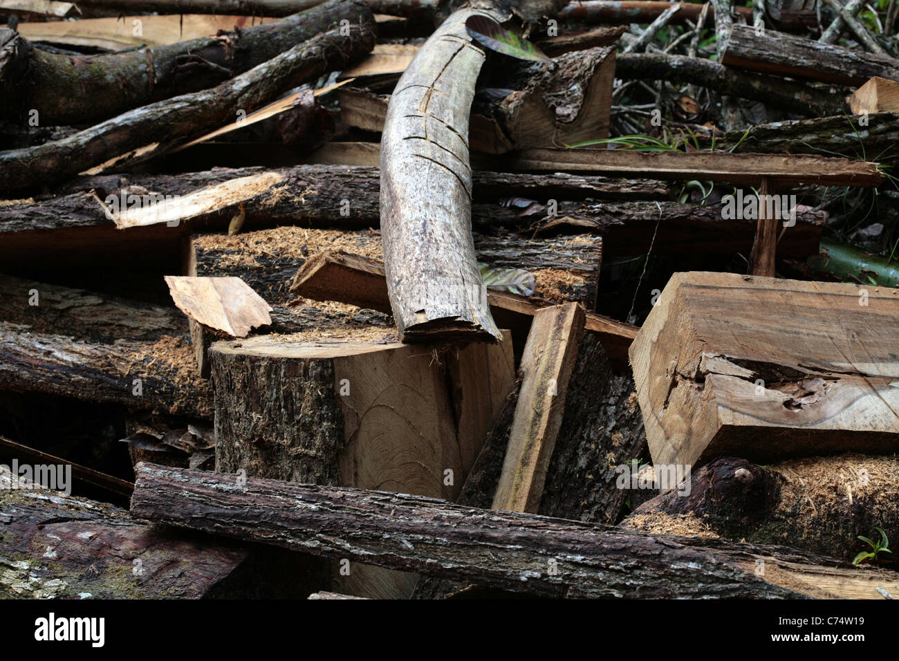 Chopped wood for firewood Stock Photo - Alamy