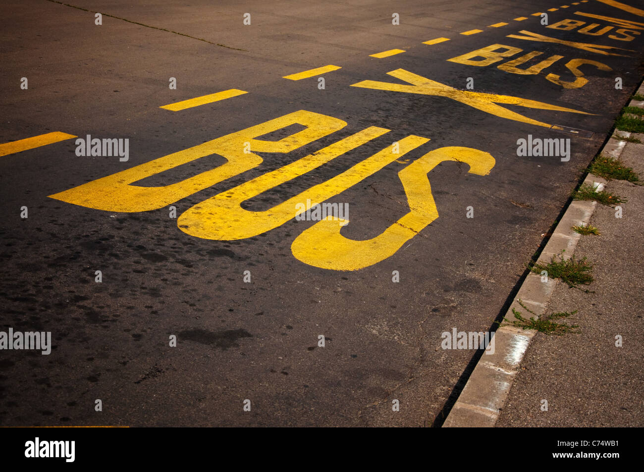 Road markings at bus stop hi-res stock photography and images - Alamy