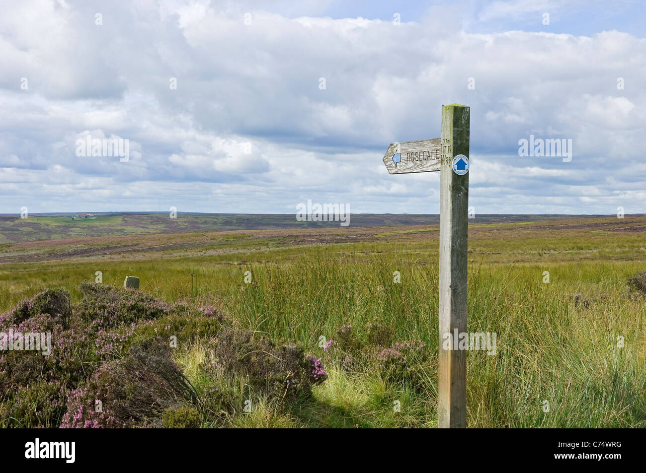 Public footpath path signpost sign for Rosedale walk walking in summer ...