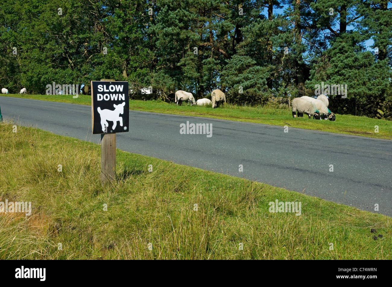 Sheep warning signs hi-res stock photography and images - Alamy