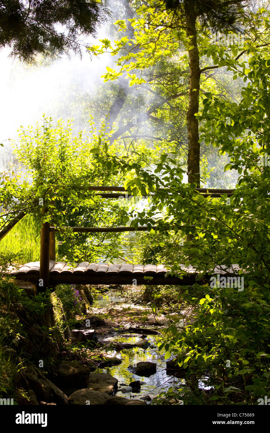 Old bridge in the forest Stock Photo - Alamy