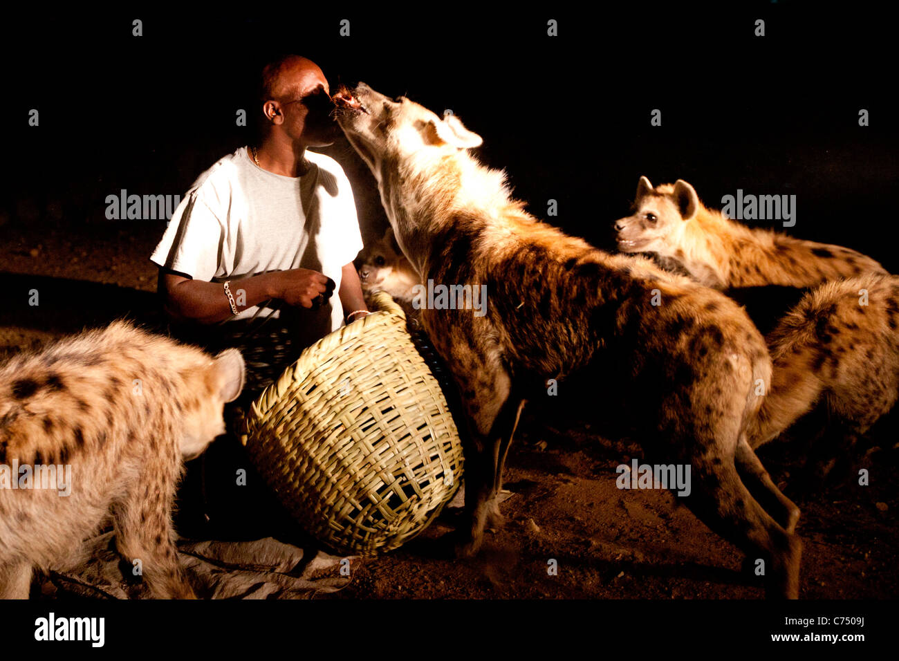 The Hyena Man feeding hyenas near Sanga Gate just outside the city ...