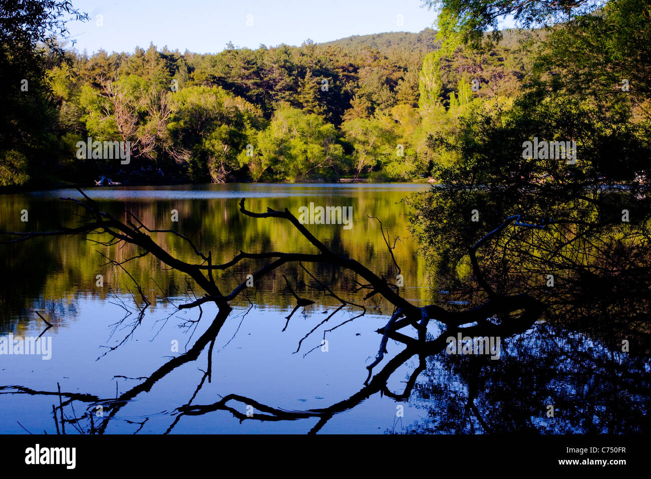 reflection at lake Stock Photo - Alamy