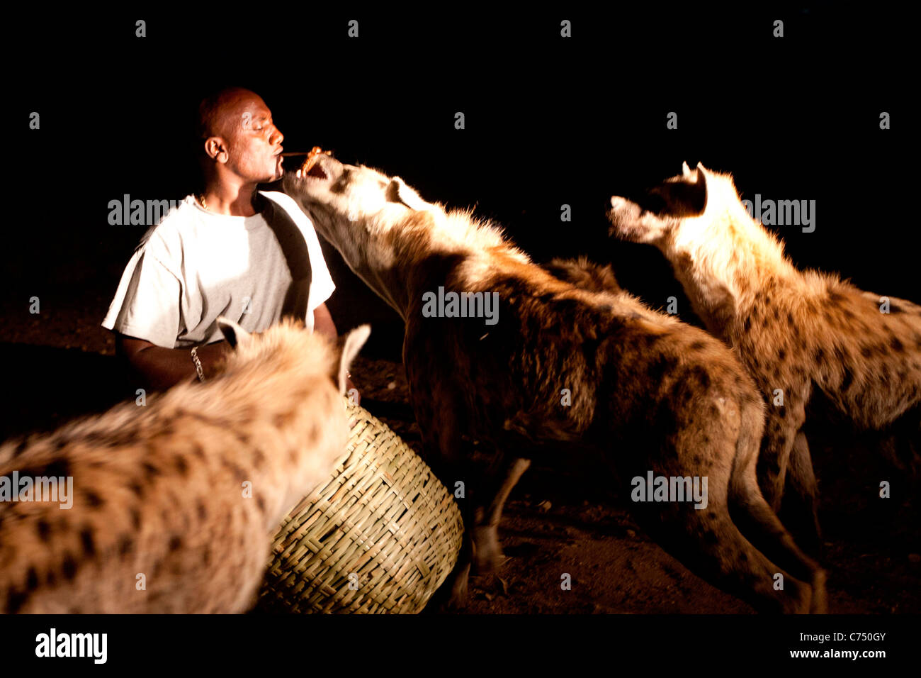 The Hyena Man feeding hyenas near Sanga Gate just outside the city ...