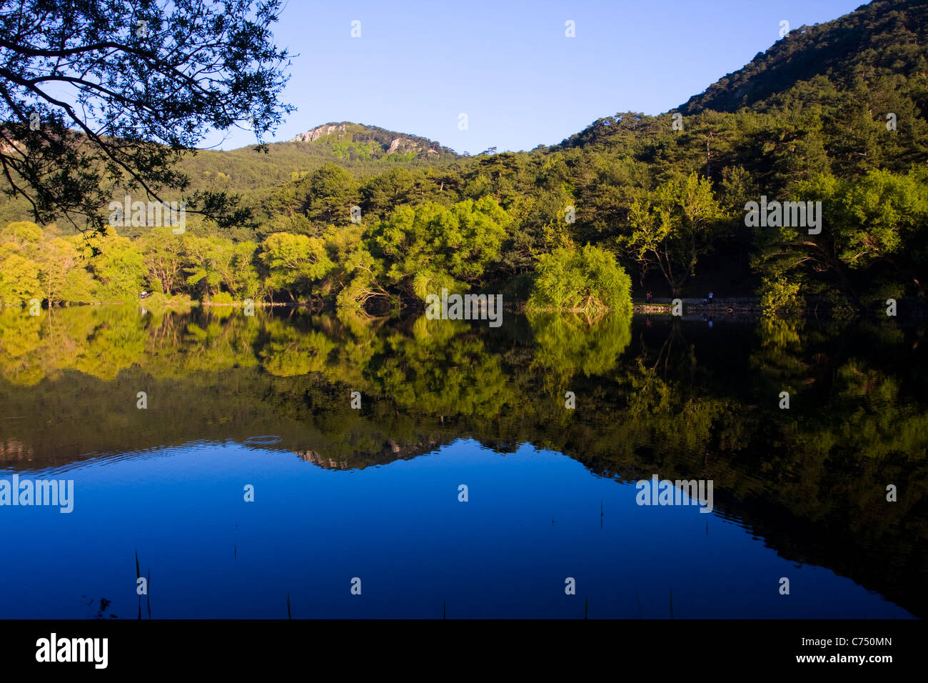 reflection at lake Stock Photo - Alamy