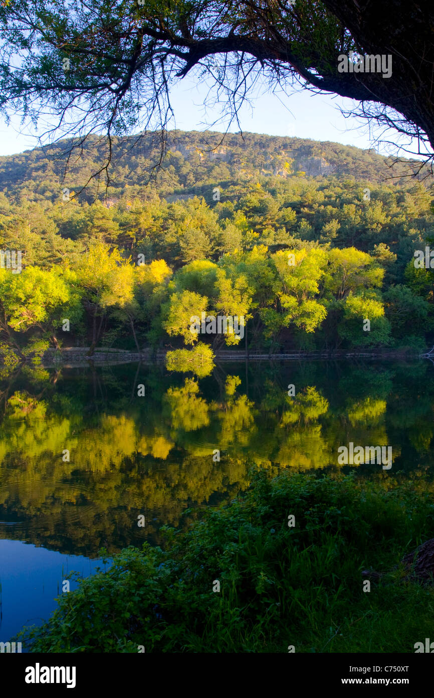 reflection at lake Stock Photo - Alamy