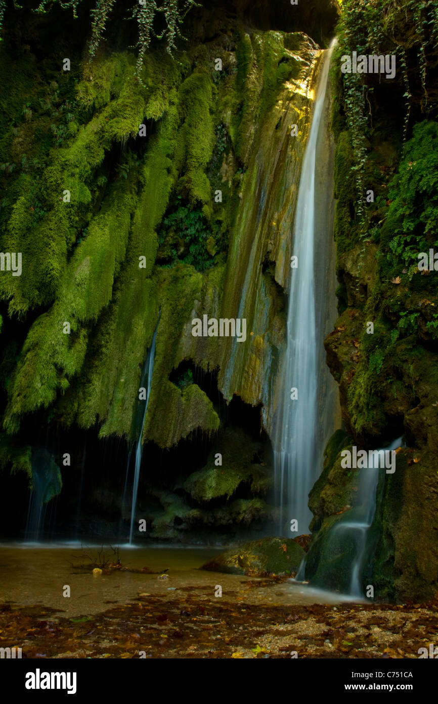 Vines tree river branch hi-res stock photography and images - Alamy