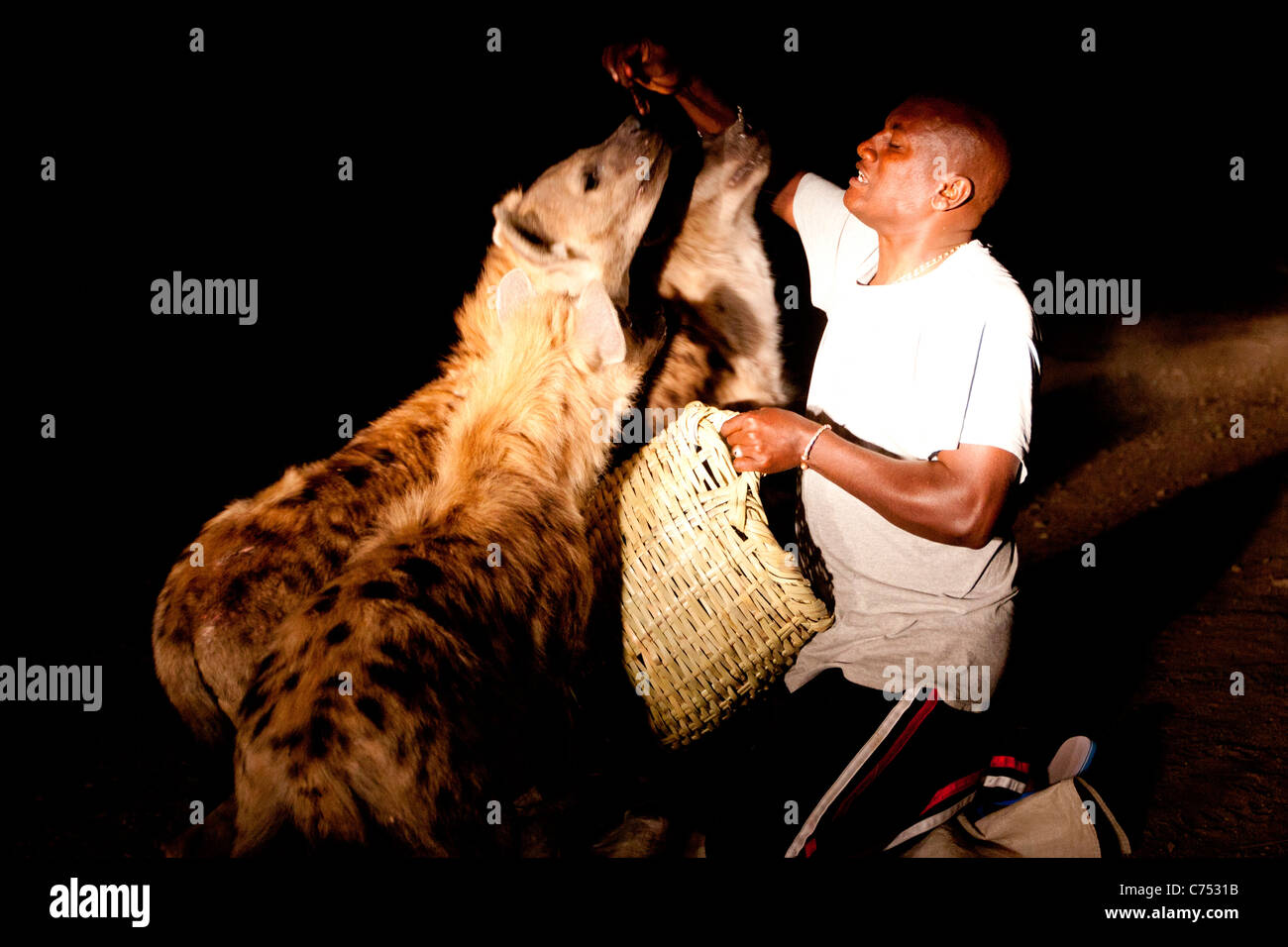 The Hyena Man feeding hyenas near Sanga Gate just outside the city ...
