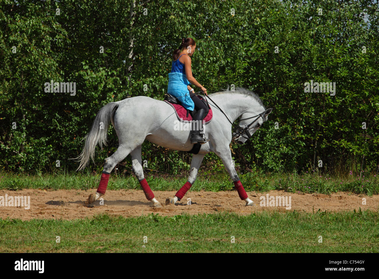 Fit horse hi-res stock photography and images - Alamy