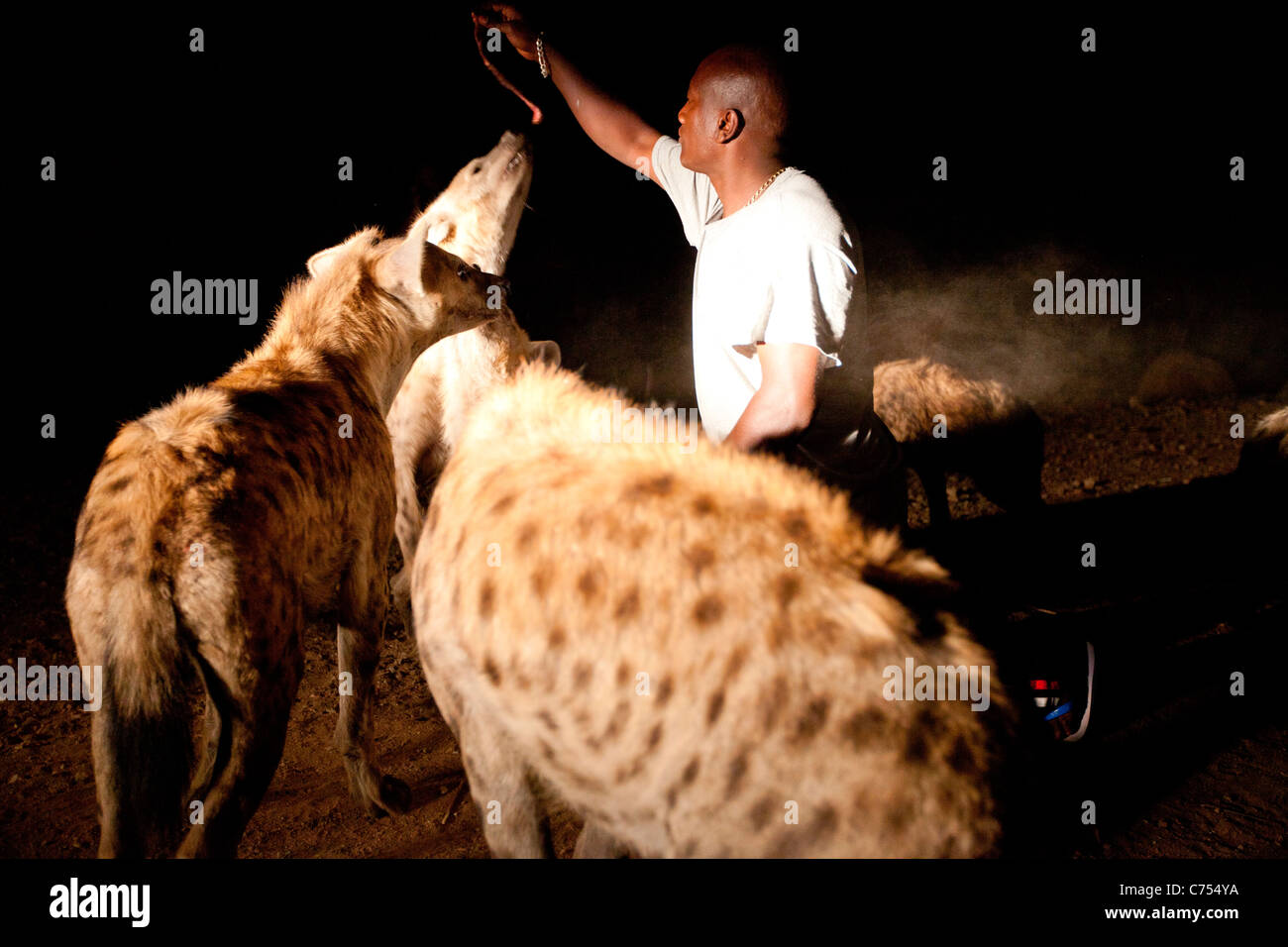 The Hyena Man feeding hyenas near Sanga Gate just outside the city ...