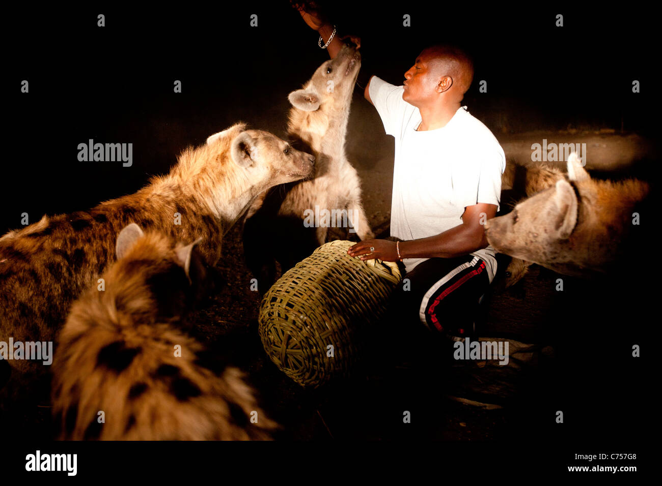 The Hyena Man feeding hyenas near Sanga Gate just outside the city ...