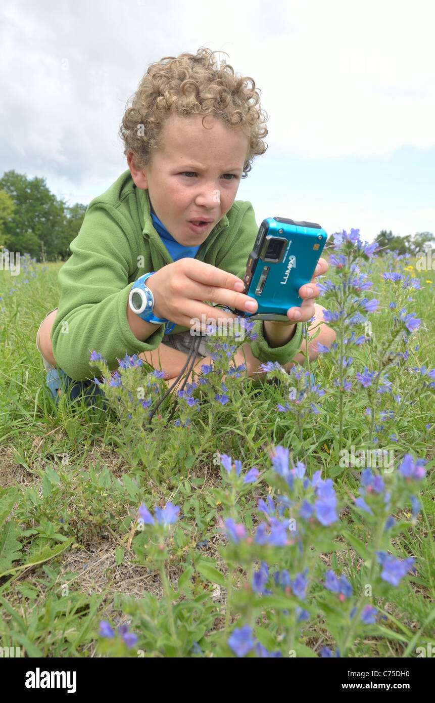 KIds enjoying taking photographs of bug and animals in a field Stock ...