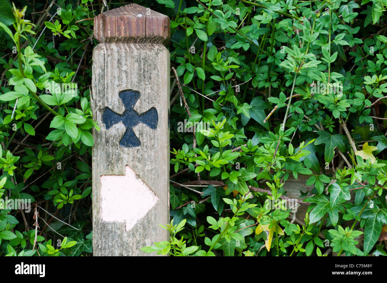 A waymark for the Saints' Way long distance footpath in Cornwall Stock ...