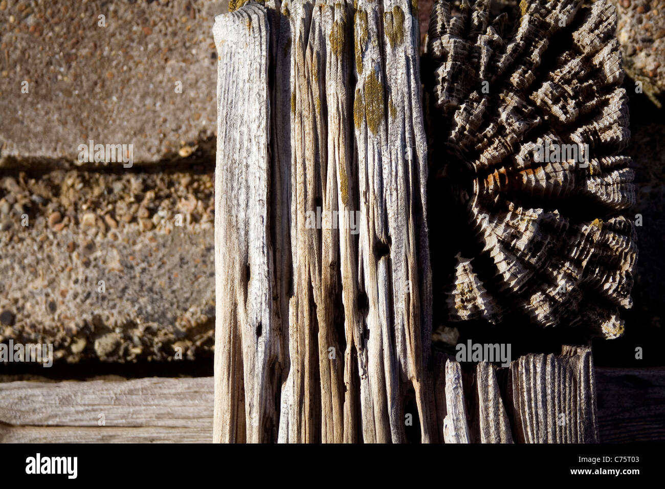Wooden piers set in concrete are eroded by the action of the sea Stock ...