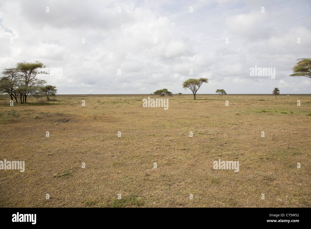 African plain hi-res stock photography and images - Alamy