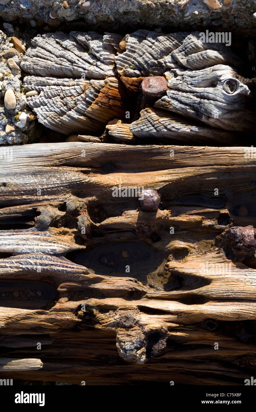 Wood erosion texture light and shade coastal concrete nails wood hi-res ...