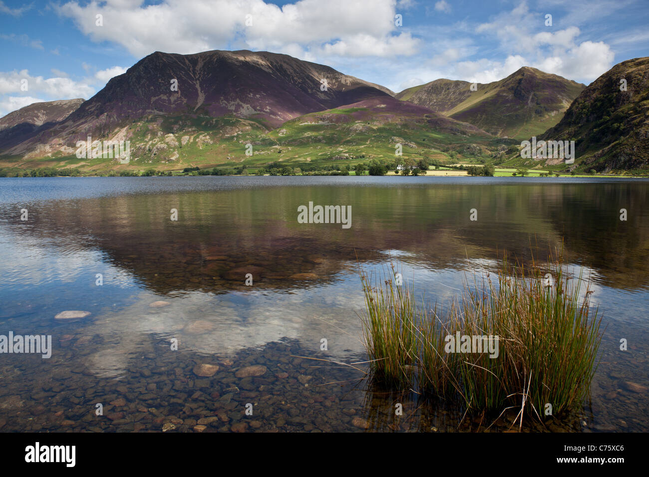 Grasmoor reflected in Crummock Water, Lake District, Cumbria Stock ...