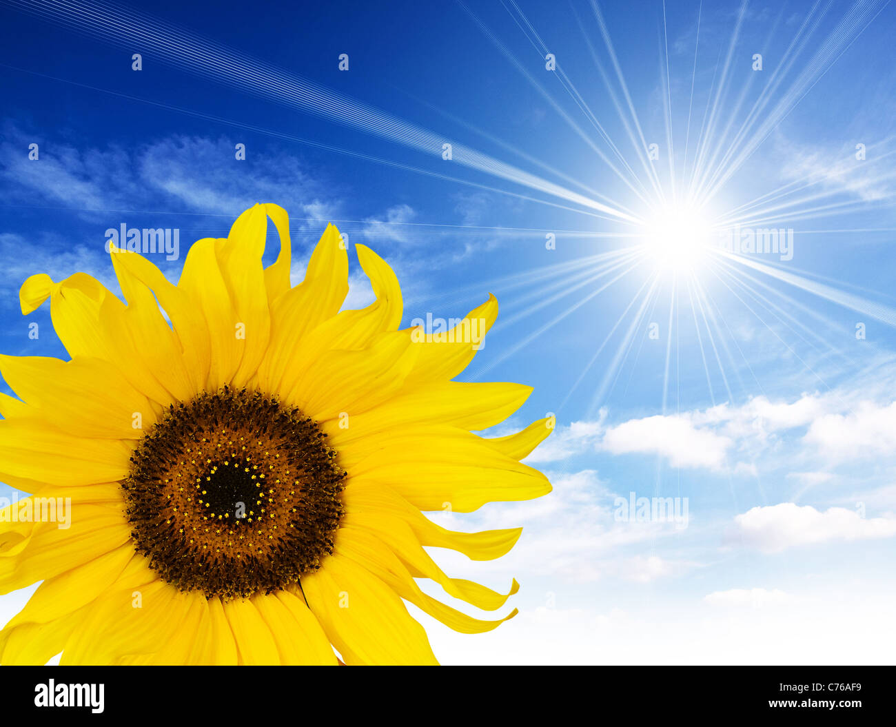 Sunshine High Resolution Stock Photography and Images - Alamy