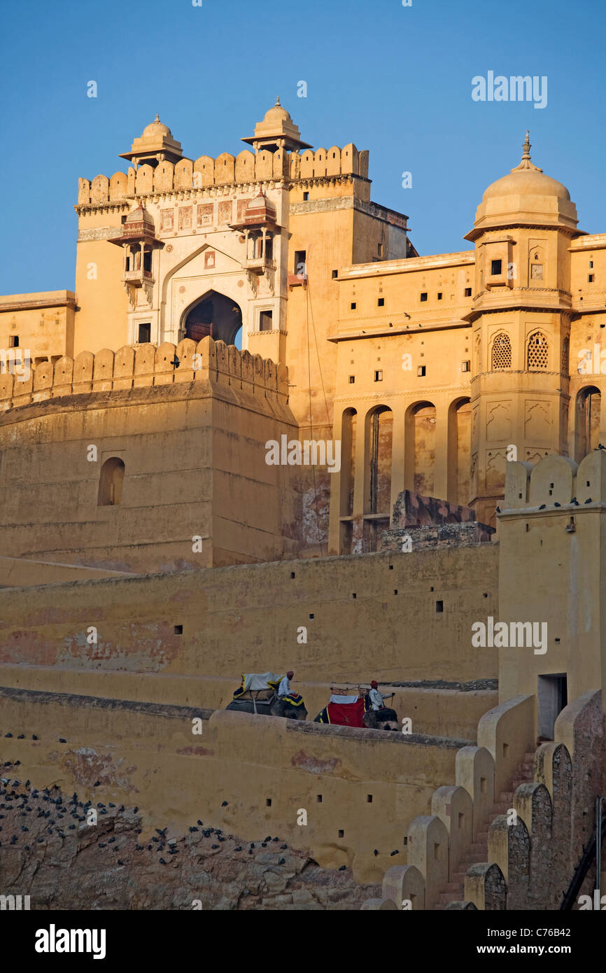 Two elephant drivers descend from historic Amber Fort to pick up ...