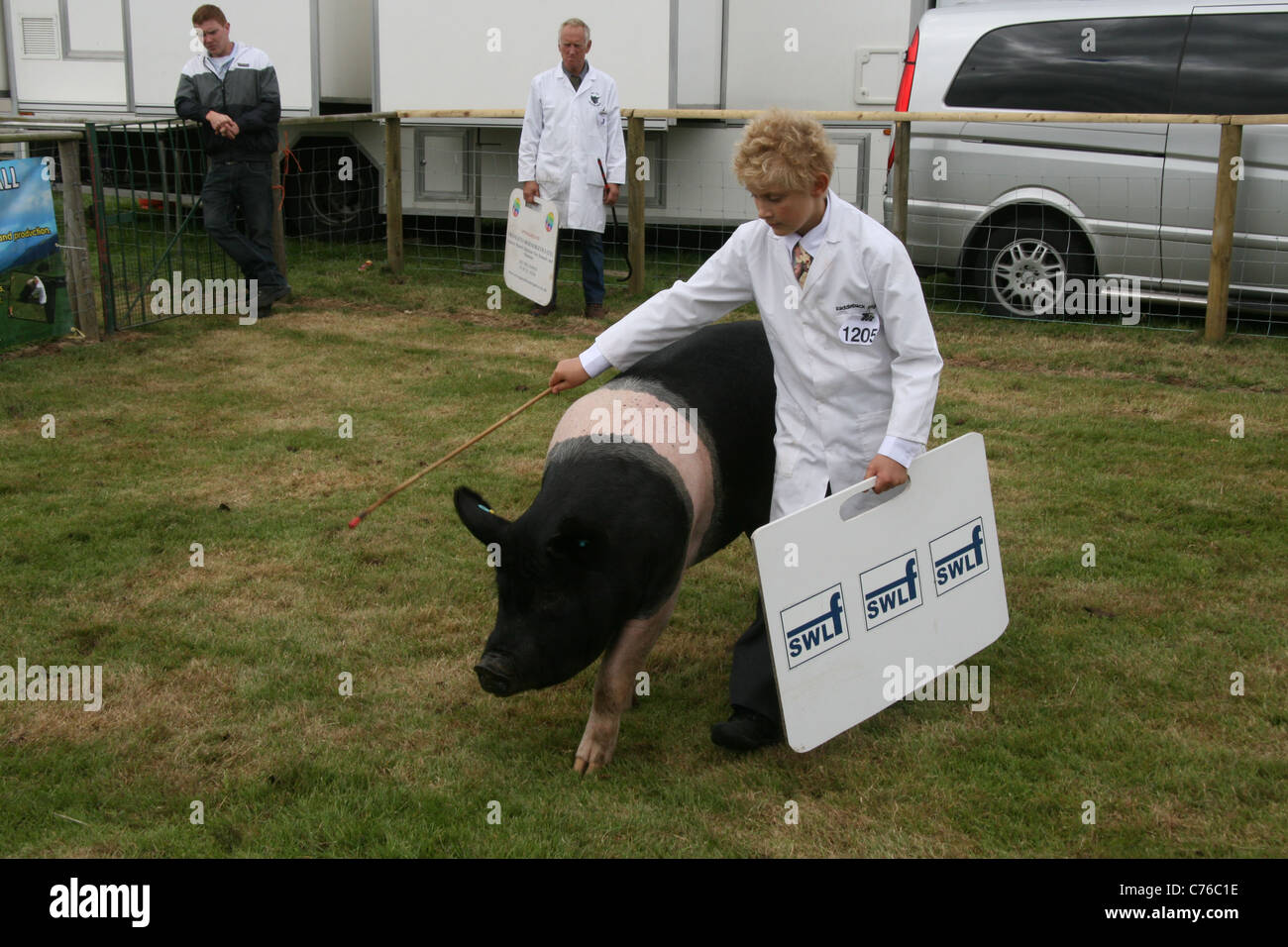 2011 agricultural pig pigs show hi-res stock photography and images - Alamy