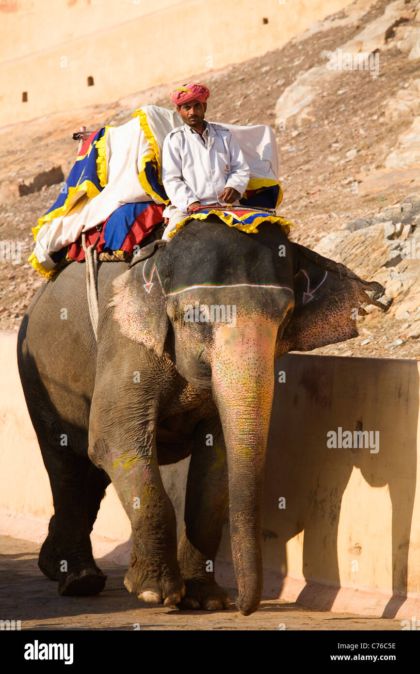 Elephant driver hi-res stock photography and images - Alamy
