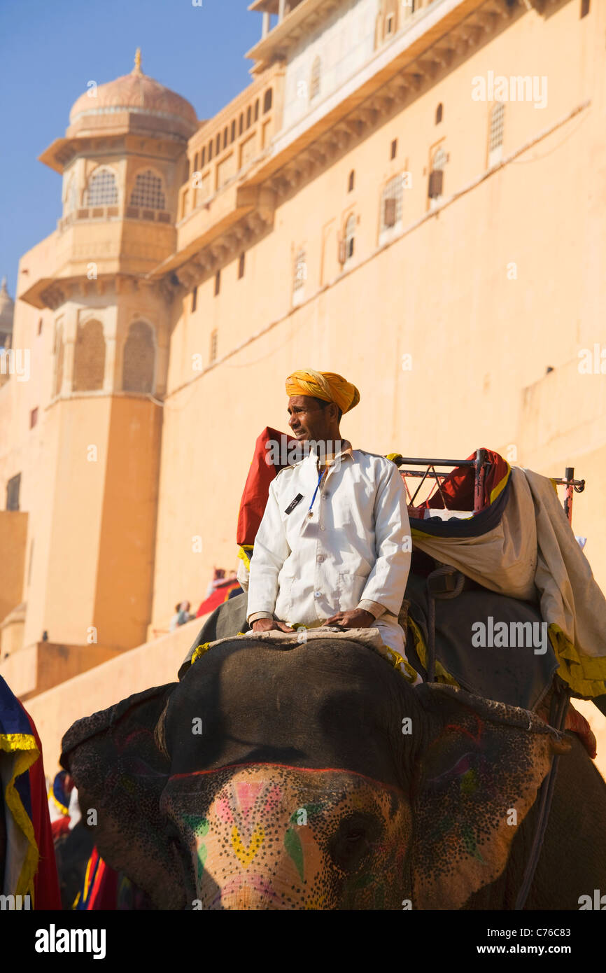 Elephant driver at historic Amber Fort in Jaipur, India, Rajasthan ...