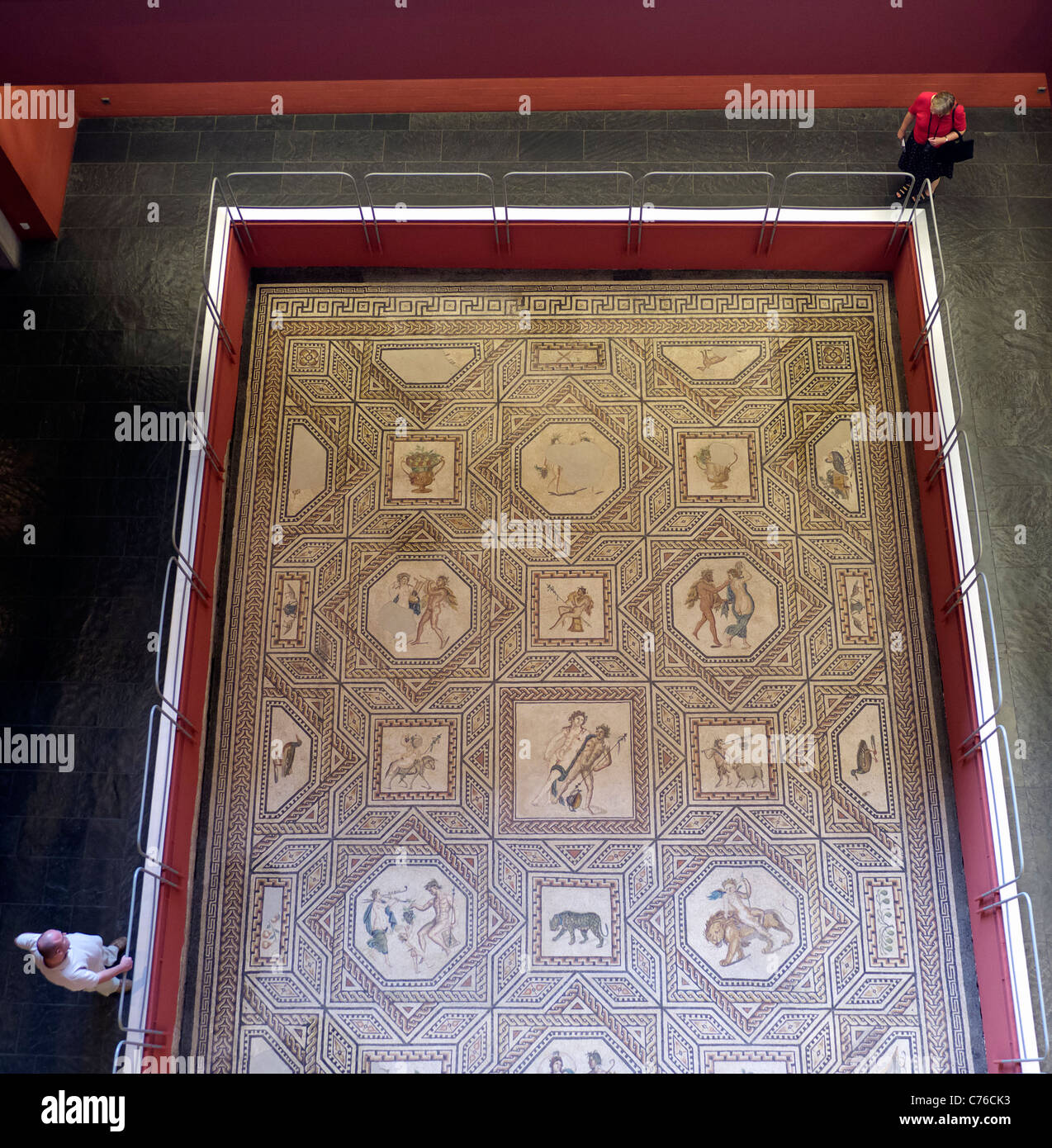 Dionysus mosaic at the Roman-Germanic Museum in Cologne Germany Stock ...