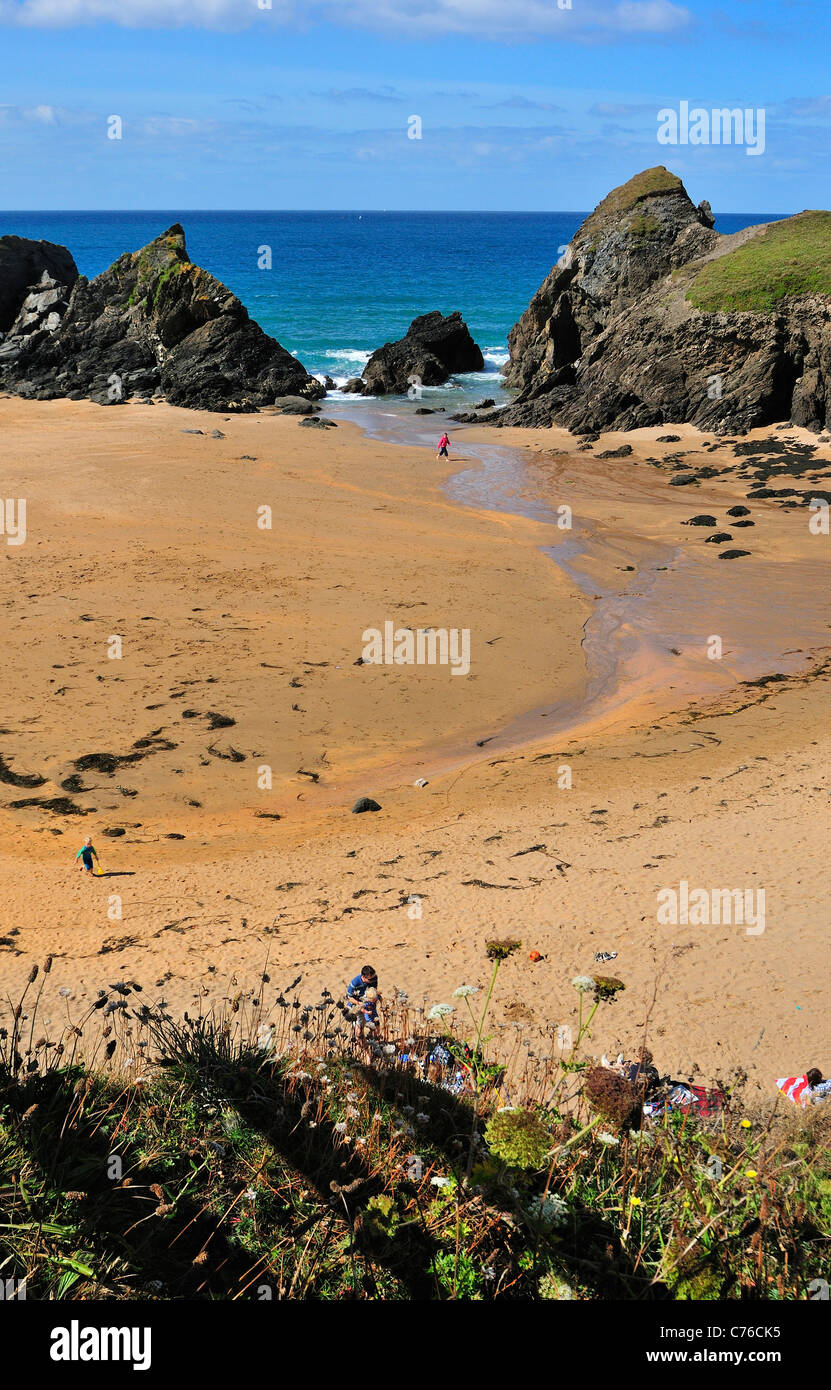 Salcombe beach hi-res stock photography and images - Alamy