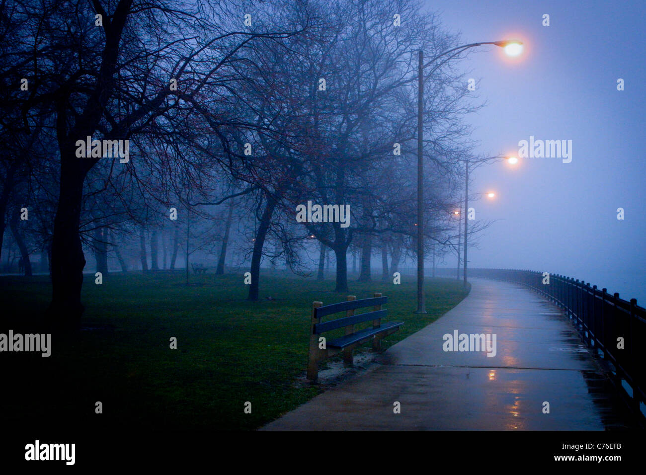Bench and lamp posts along park path on a foggy night Stock Photo - Alamy