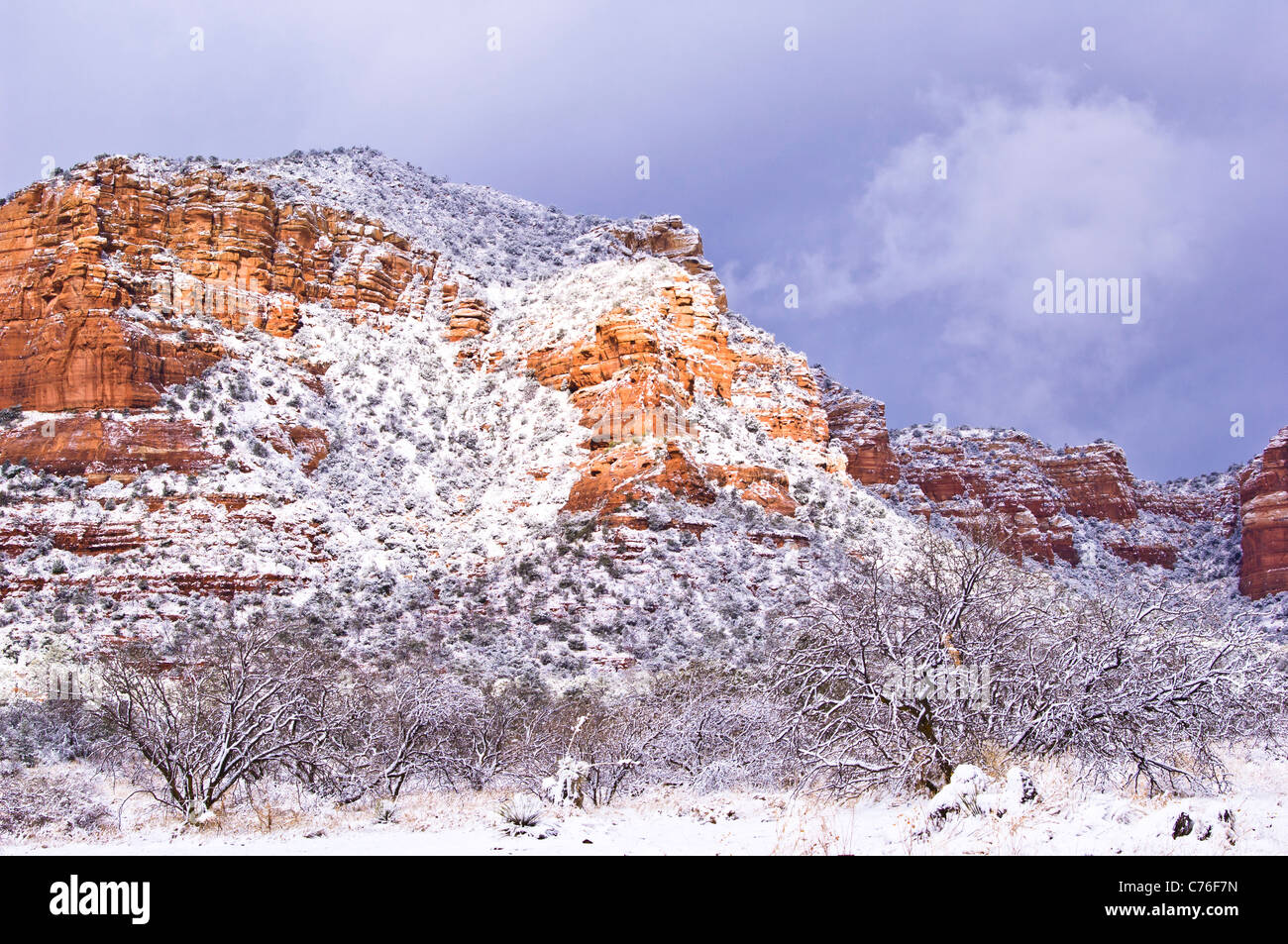 A rare spring snow storm blankets red rocks of the Sedona area. Arizona ...