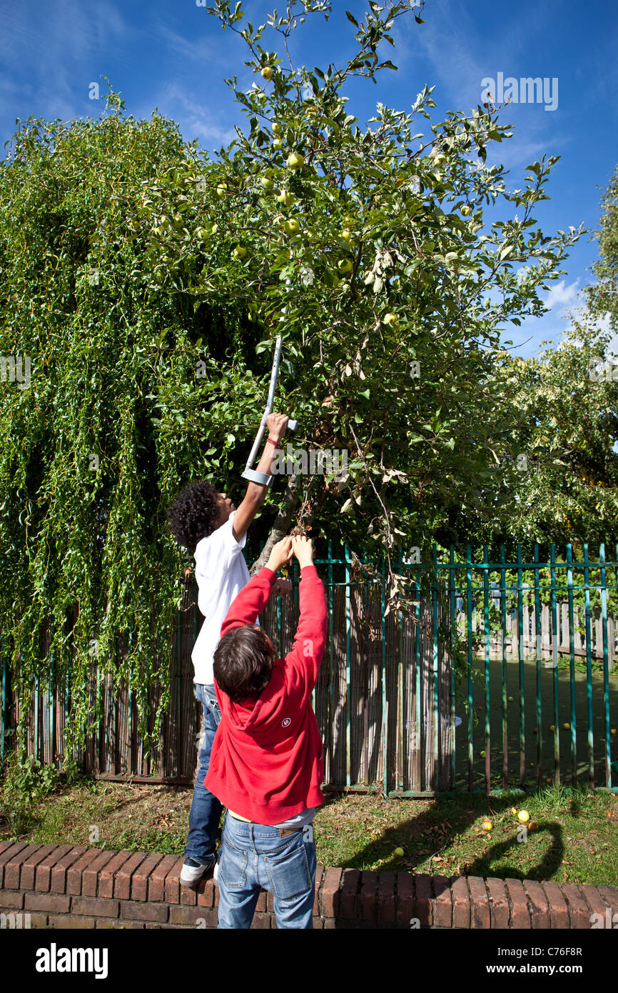 Scrumping High Resolution Stock Photography and Images - Alamy