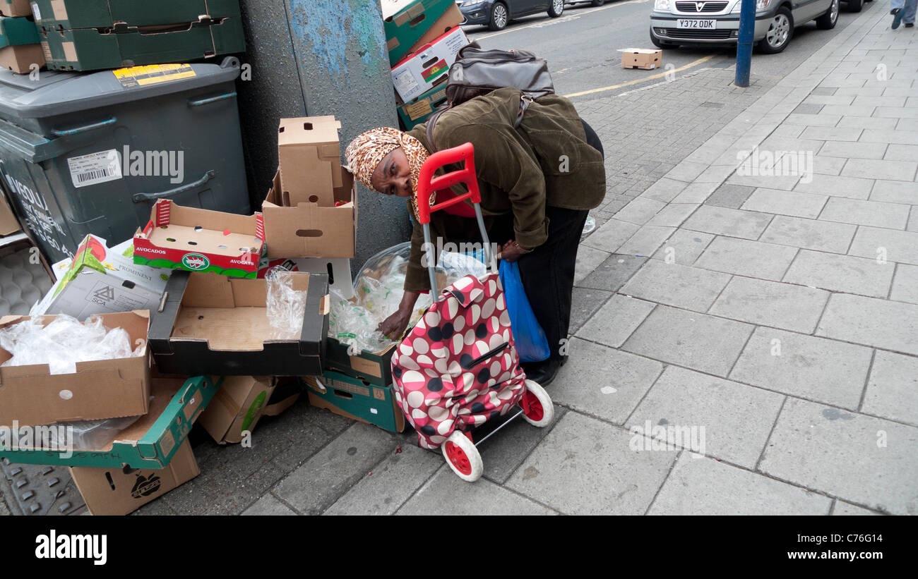 Scavenging bins hi-res stock photography and images - Alamy