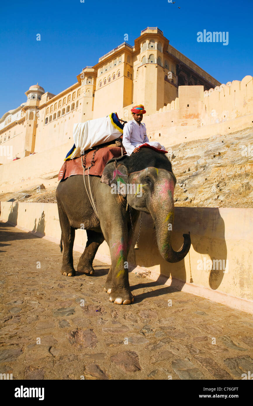 Elephant driver at historic Amber Fort in Jaipur, India, Rajasthan ...