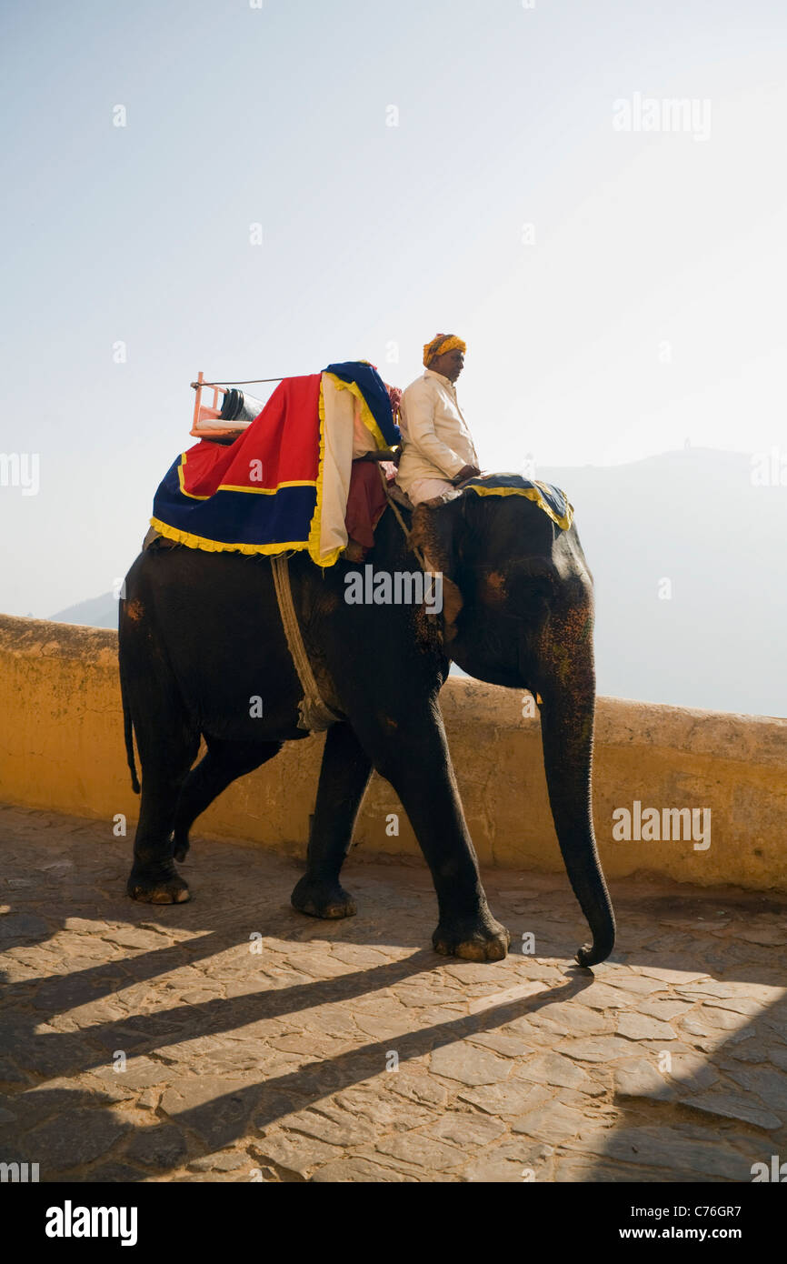 Elephant driver at historic Amber Fort in Jaipur, India, Rajasthan ...