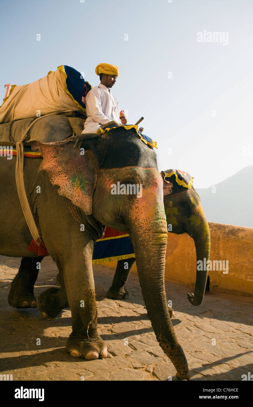 Elephant driver at historic Amber Fort in Jaipur, India, Rajasthan ...