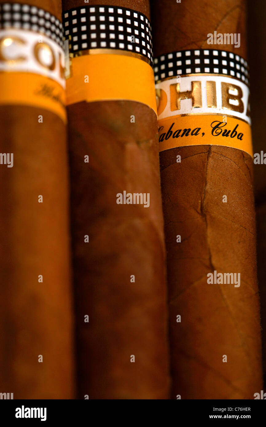 Bolivar cigars hi-res stock photography and images - Alamy