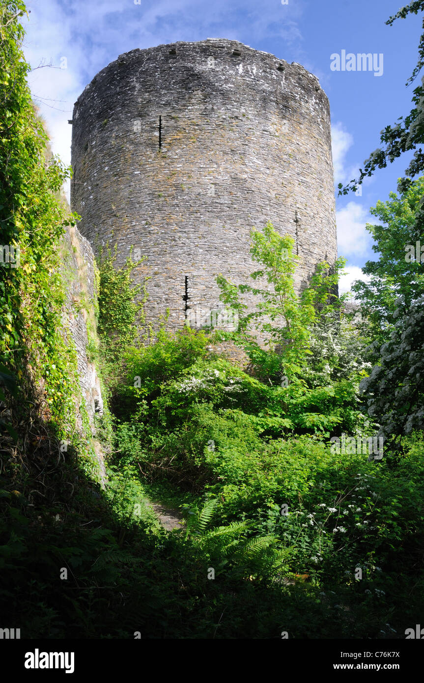 Cilgerran castle hi-res stock photography and images - Alamy