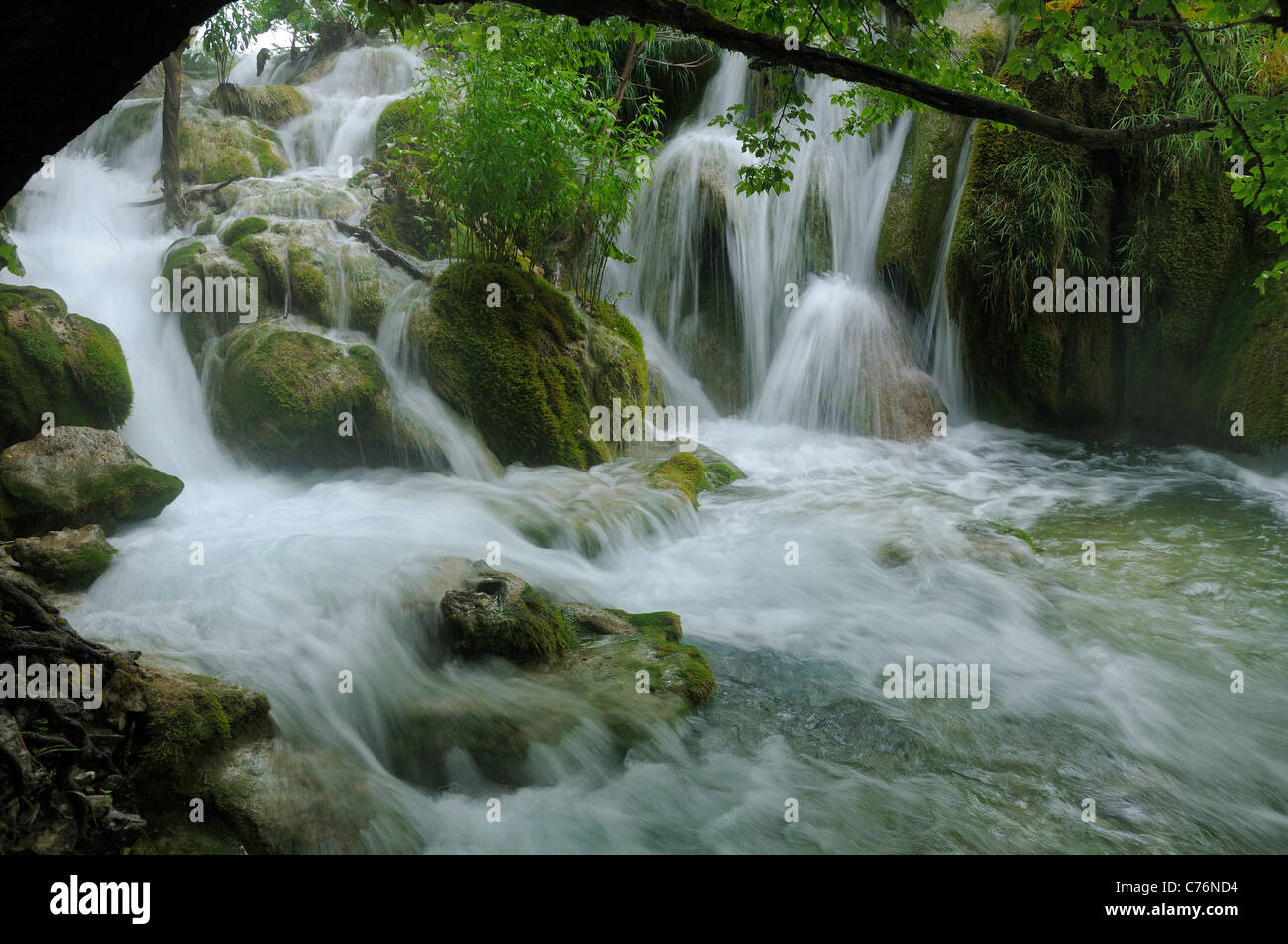 Milke Trnine upper waterfall overhung by trees at Plitvice Lakes ...
