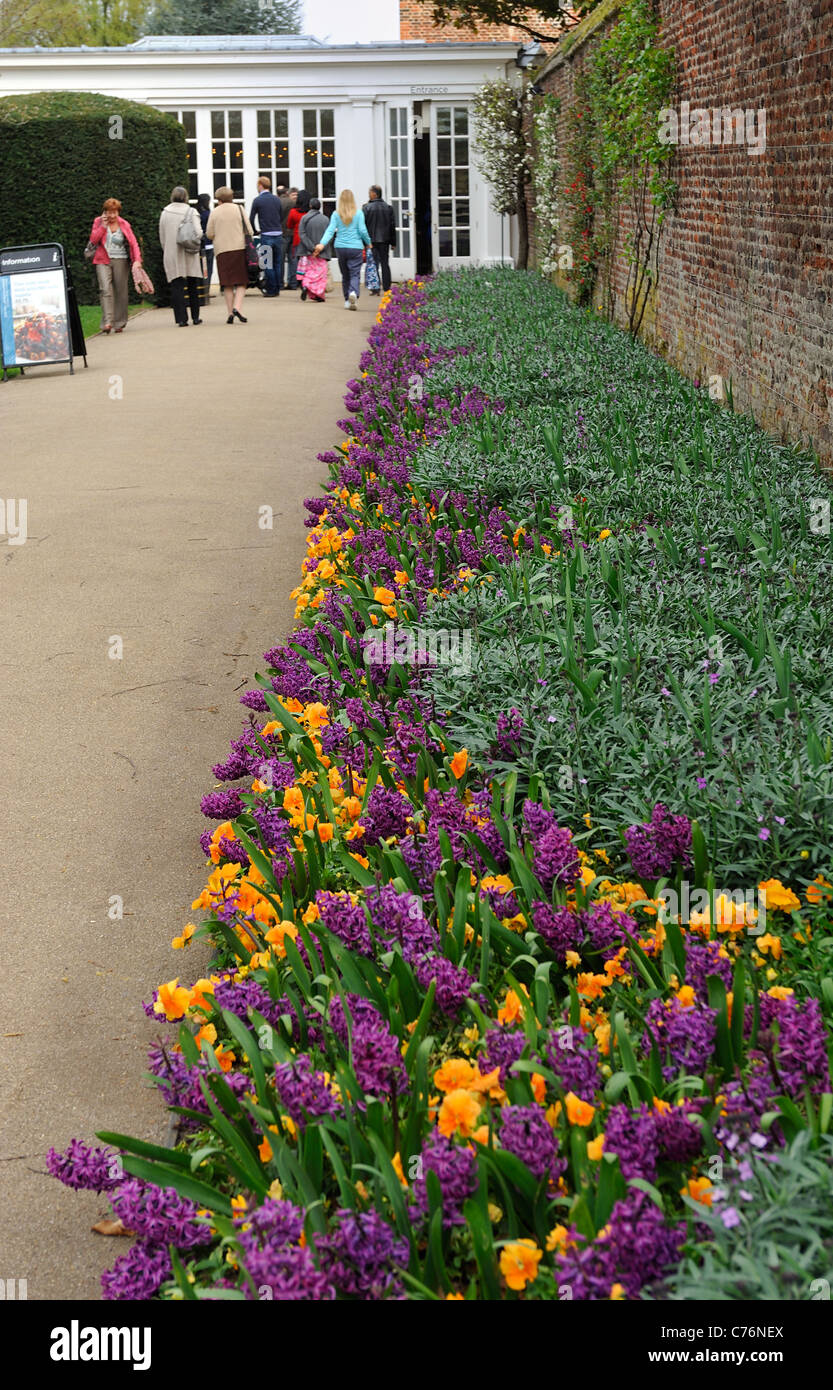 Flower bed Tiltyard Cafe Hampton Court Palace London England Stock ...
