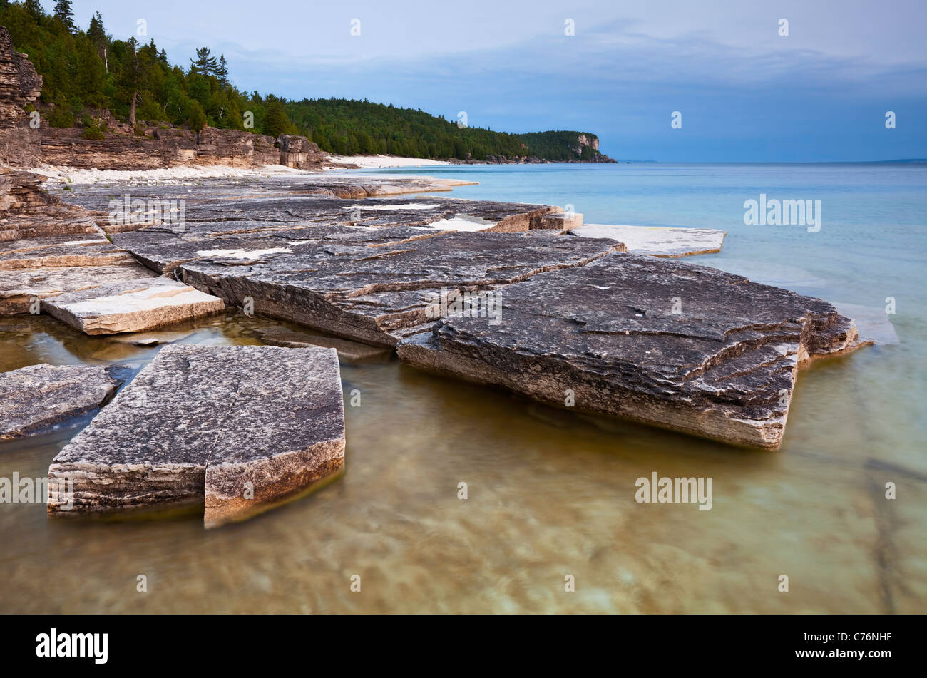 Georgian national forest hi-res stock photography and images - Alamy