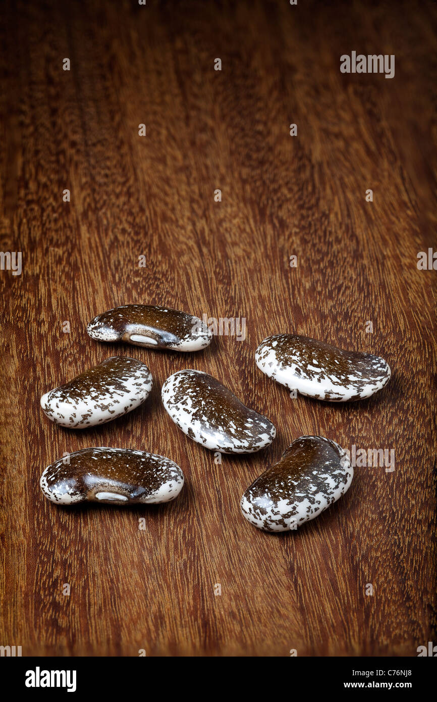 Runner Bean seeds variety "Painted Lady" (Phaseolus coccineus ...