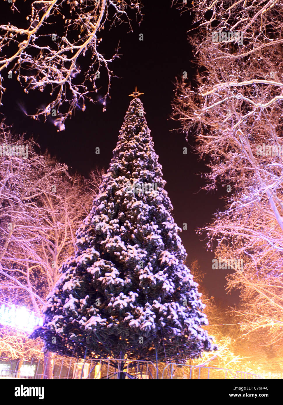 christmas tree at night Stock Photo - Alamy