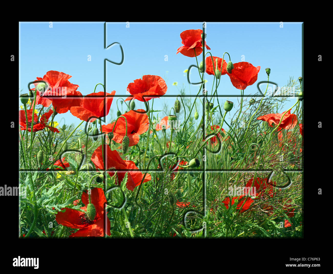 jigsaw puzzle with image of poppies Stock Photo - Alamy