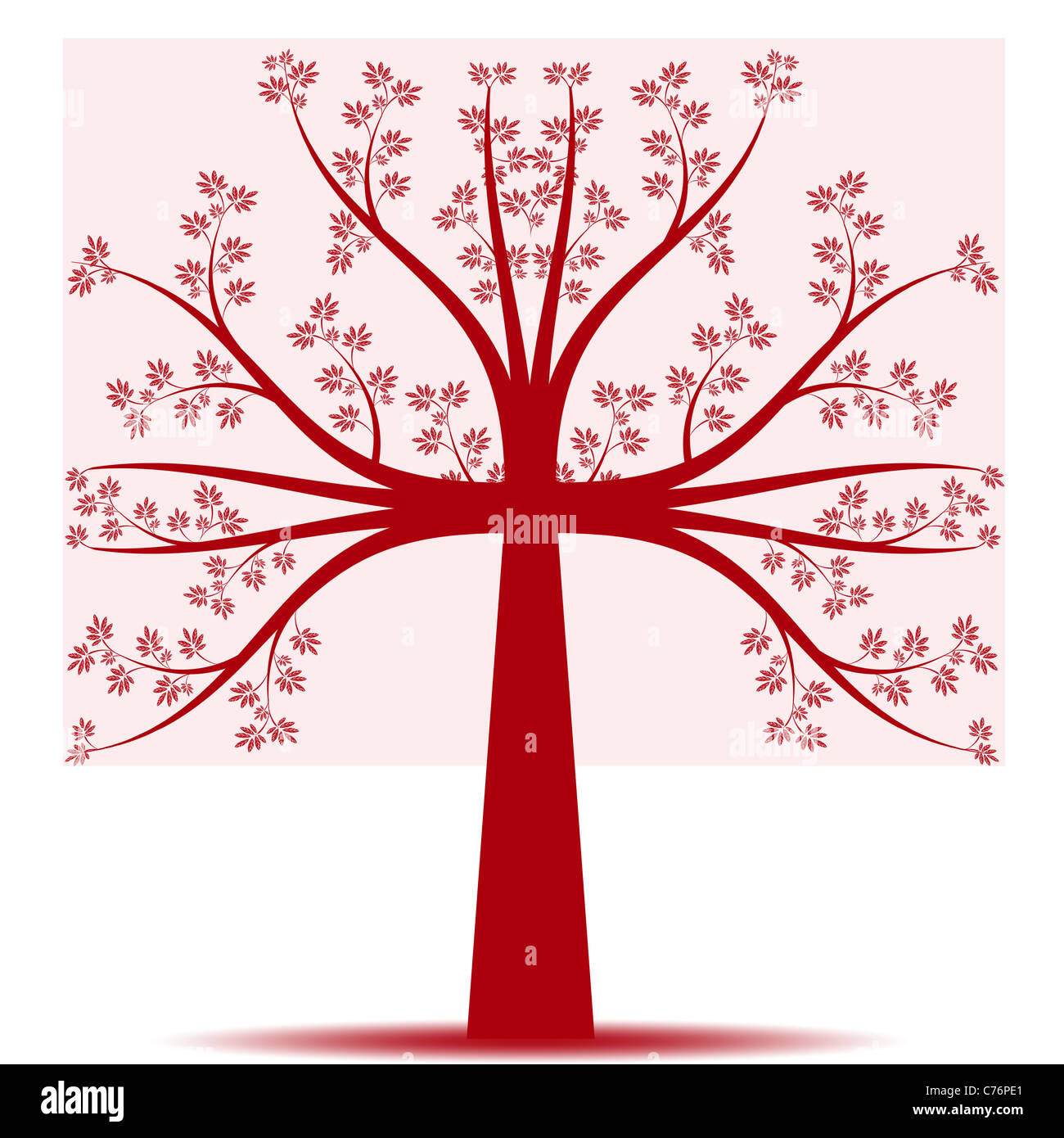 Beautiful art tree isolated on white background Stock Photo - Alamy