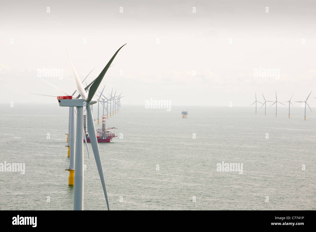 The Walney offshore wind farm taken from the top of one of the wind ...