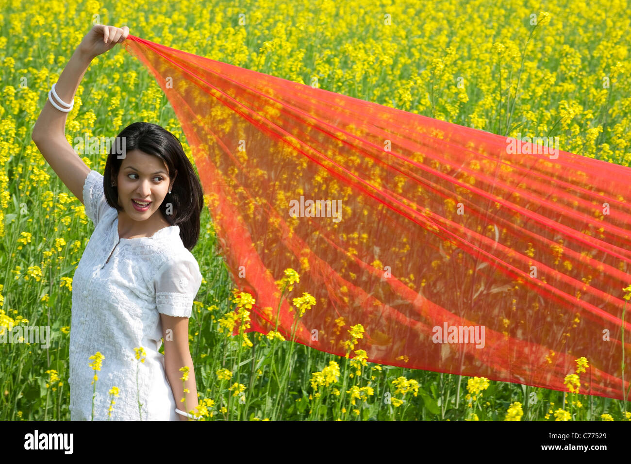 Chunni hi-res stock photography and images - Alamy
